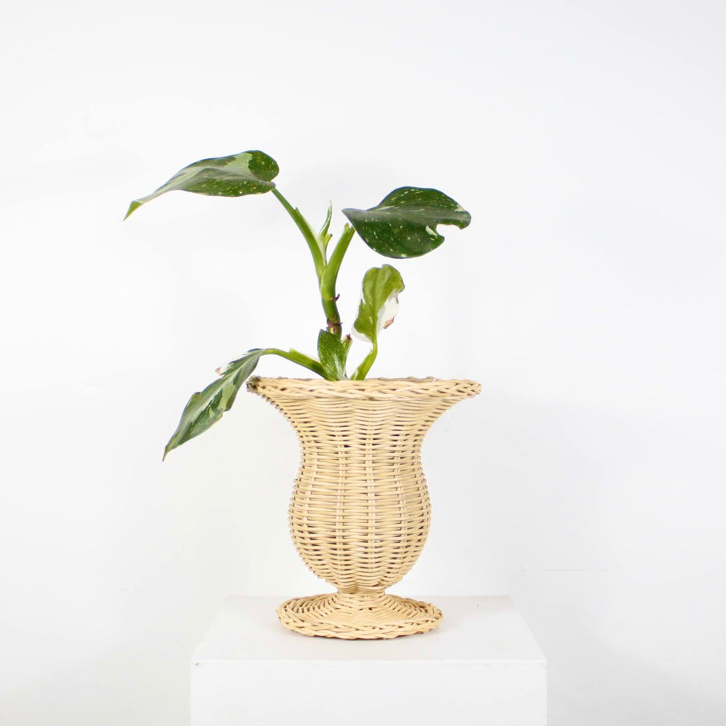Vase Médicis en rotin petit – DEBEAULIEU